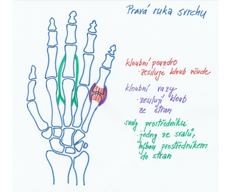 Jak uzdravit vbočený palec, klenby a problémy chodidel [Barefoot speciál 3]